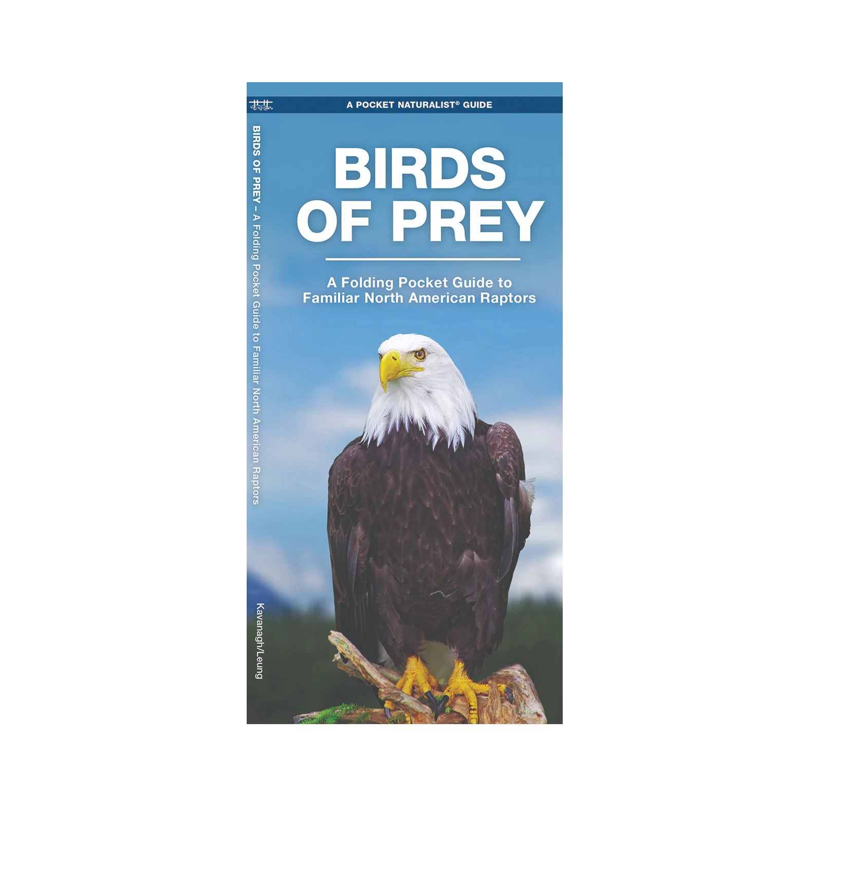 Pocket Naturalist A Pocket Naturalist Folding Guide "Birds of Prey"