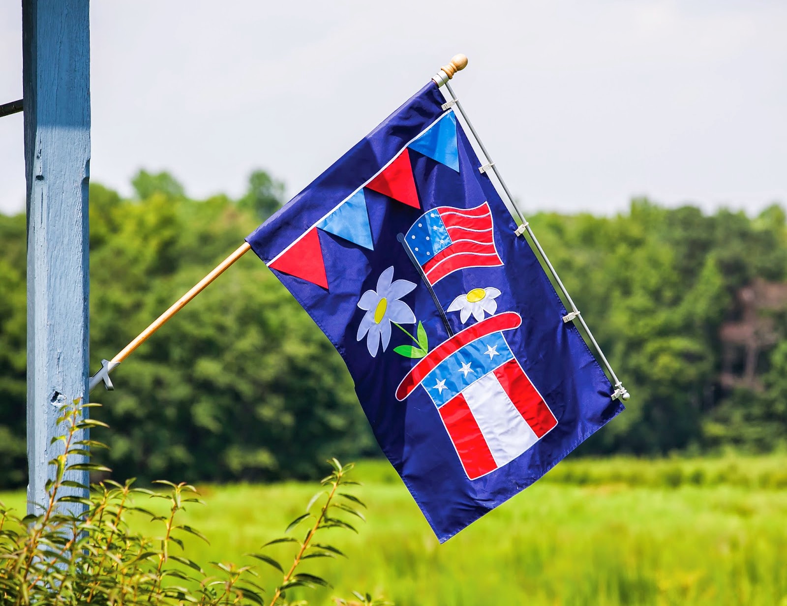 Evergreen Flag Buddy