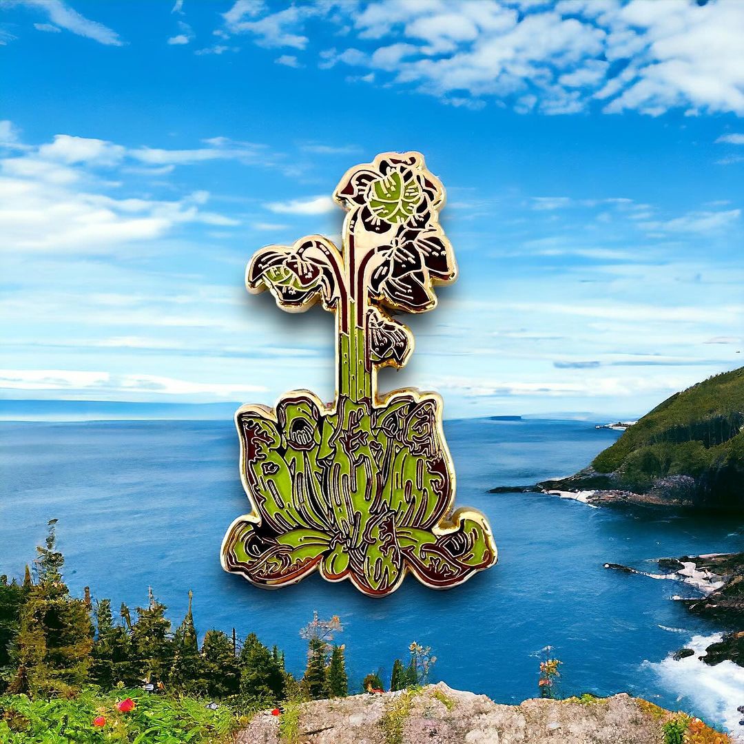 Brother Birch Pitcher Plant