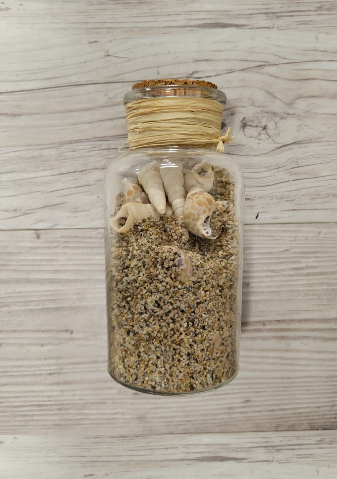 Abbott Sand and Shell Jar