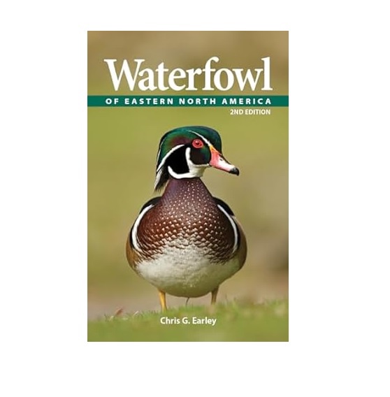 Common Ground Waterfowl of Eastern North America