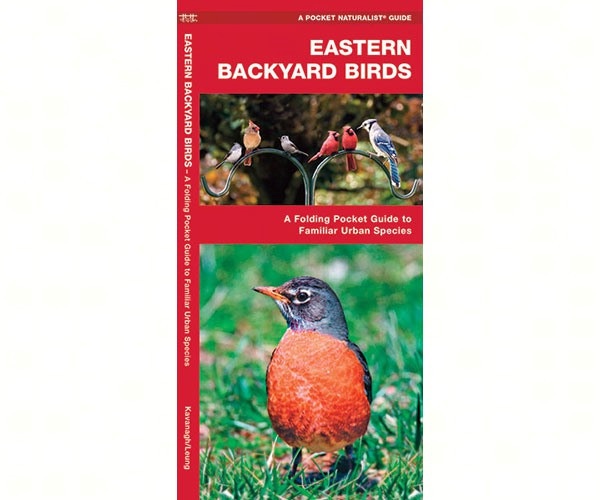 Pocket Naturalist A Pocket Naturalist Folding Guide "Eastern Backyard ...
