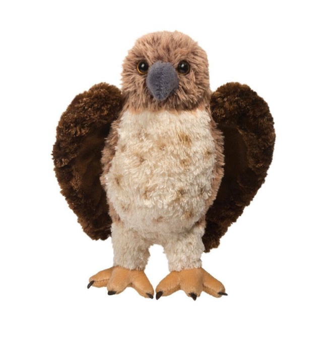 Douglas Orion Red-Tailed Hawk 3759