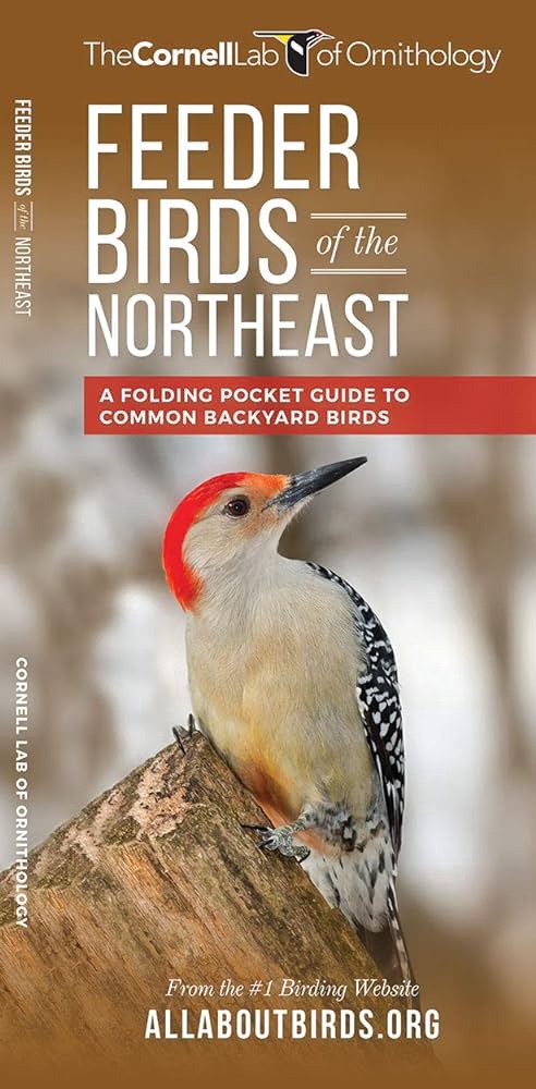 Waterford Press Cornell Lab of Ornithology Folding Pocket Guide "Feeder ...