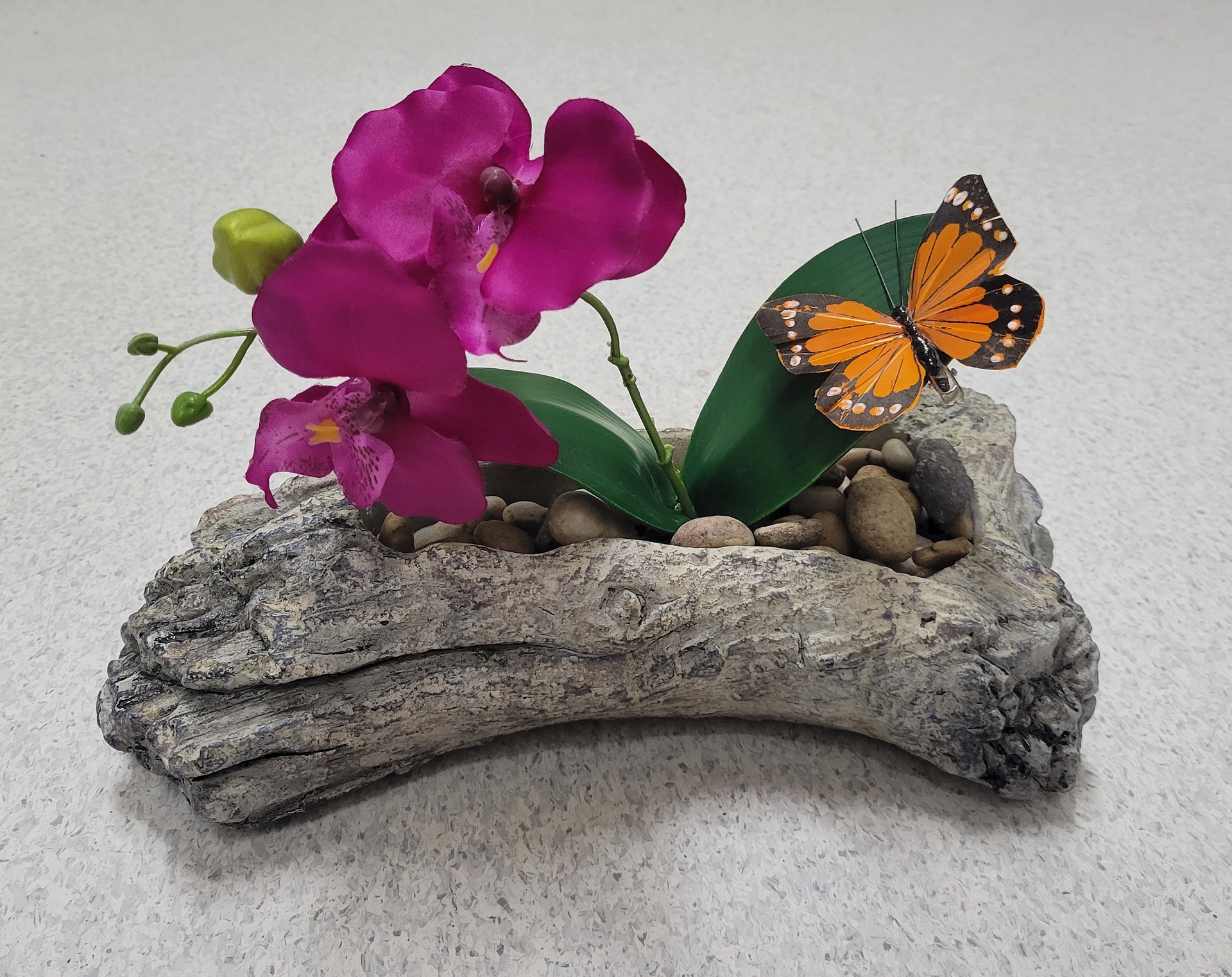 Abbott Medium driftwood log with succulents