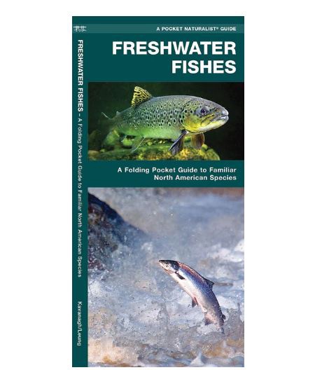 Pocket Naturalist A Pocket Naturalist Folding Guide "Freshwater Fishes"