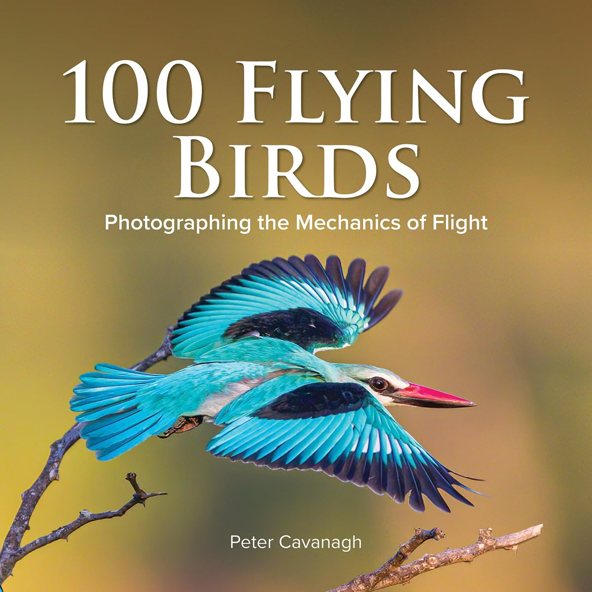 Firefly 100 Flying Birds - Photographing the mechanics of flight