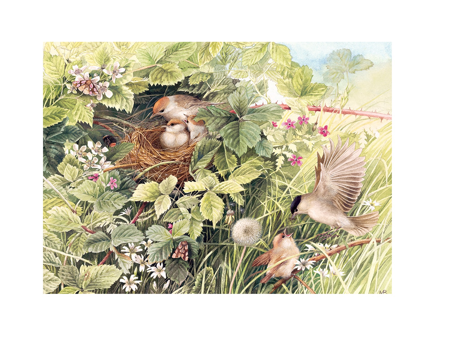 Cobble Hill 1000 Piece Puzzle - Hidden Nest