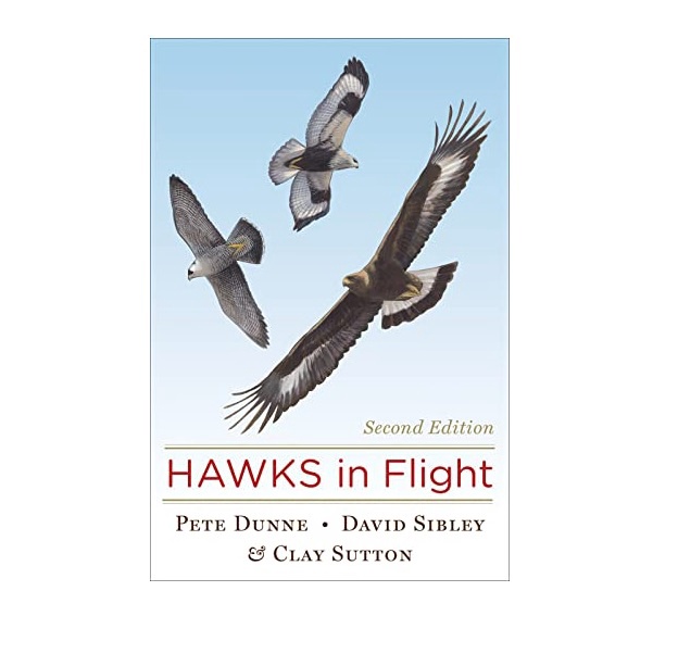 Common Ground Hawks in Flight